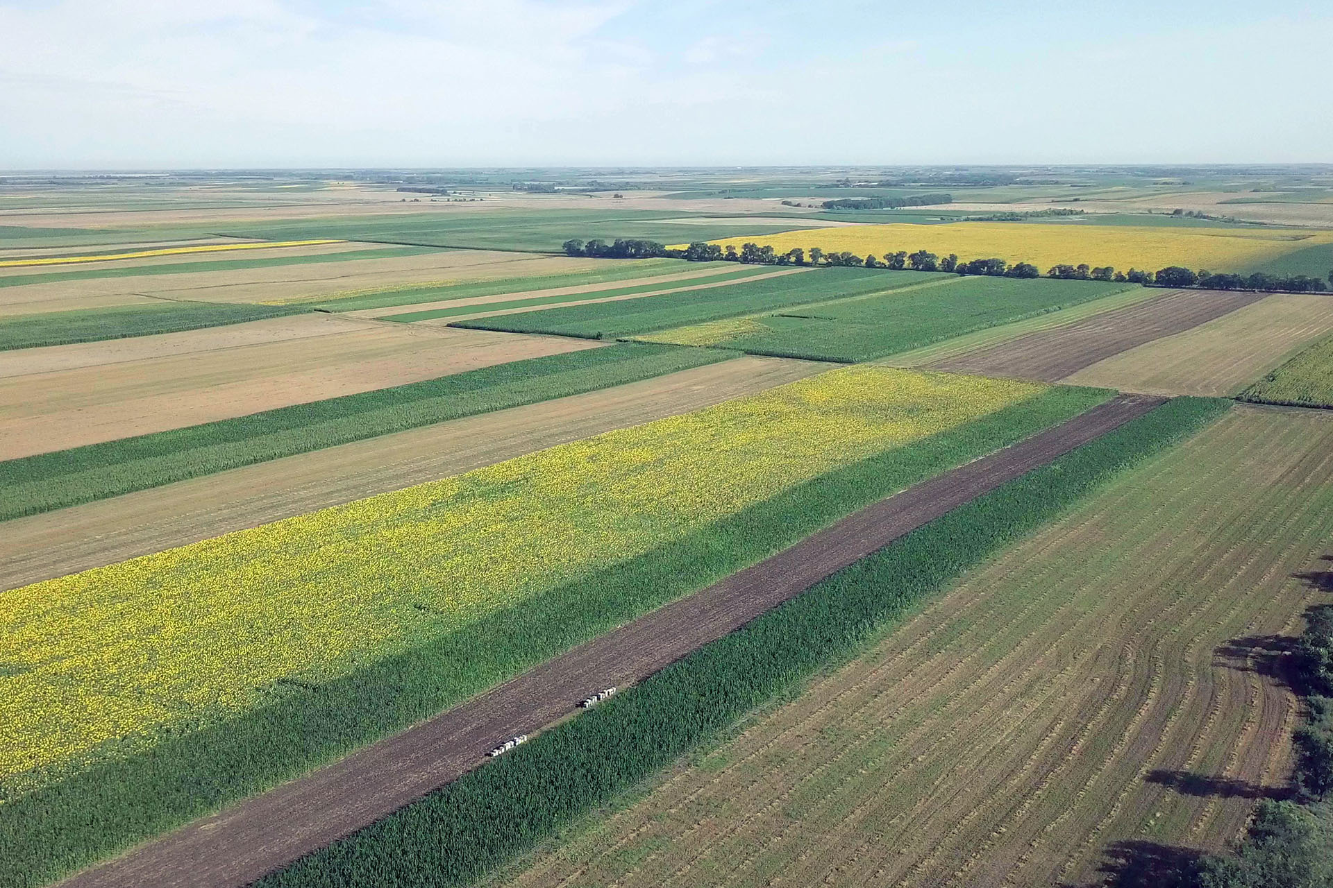 Plodne njive - EKASrbobran